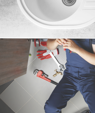 WISE Digital Partners: Elevating Your Online Presence with Next-Level ...