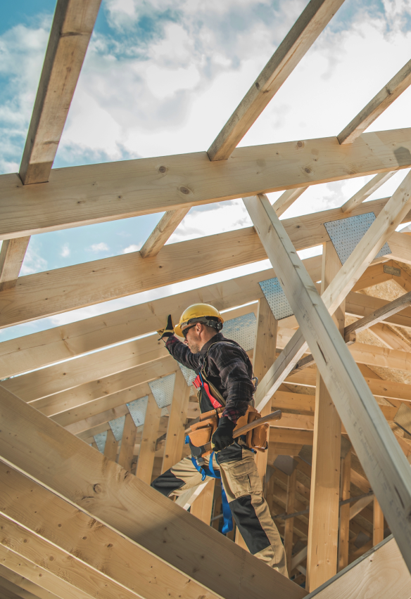 WISE Digital Partners: Elevating Your Online Presence with Next-Level ...